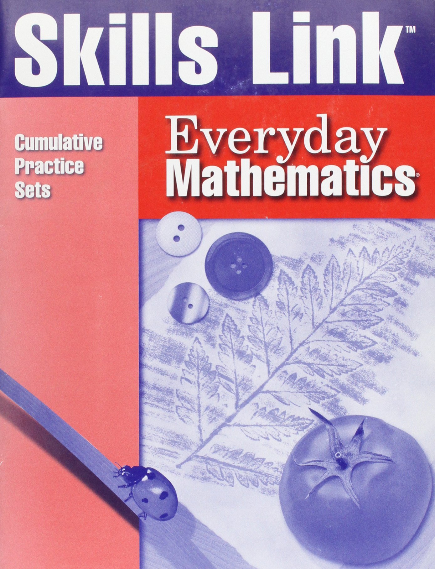 Amazon.com: Everyday Mathematics Skills Link, Grade 1: 9781570399374 ...