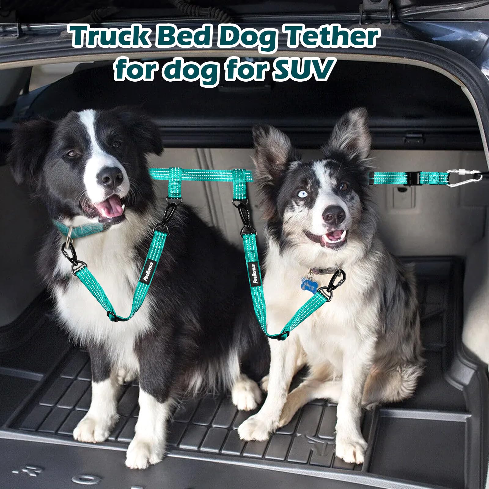 Snapklik.com : PetBonus Truck Bed Dog Leash, Dog Truck Tether Tie Down ...