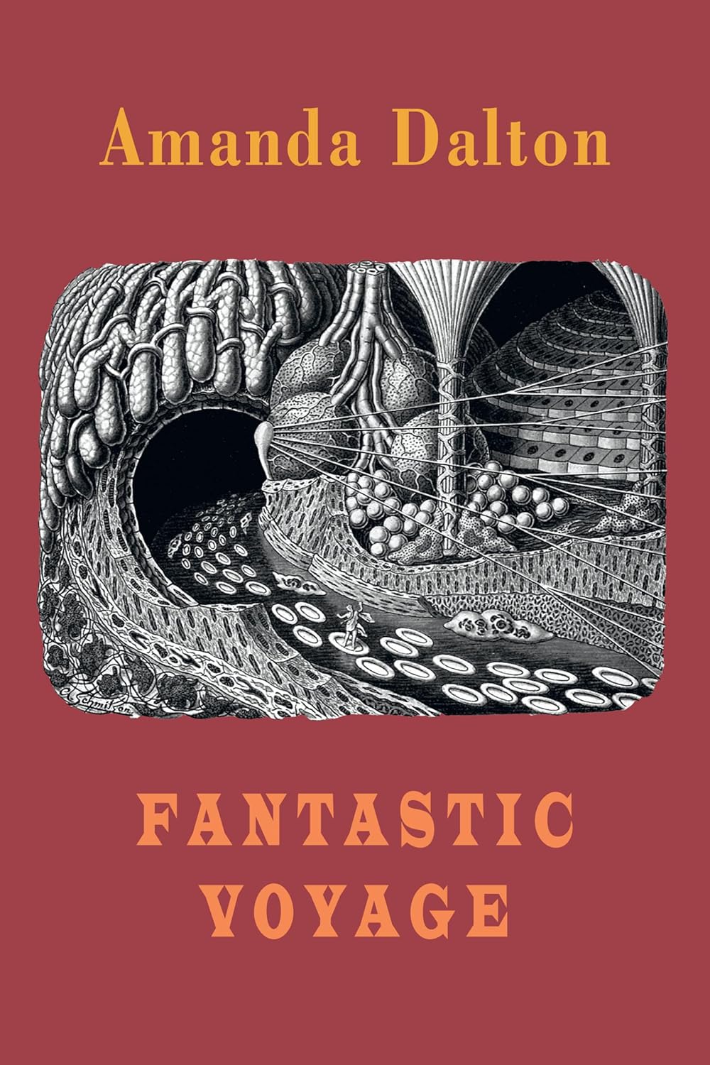 Amazon.com: Fantastic Voyage eBook : Dalton, Amanda: Books
