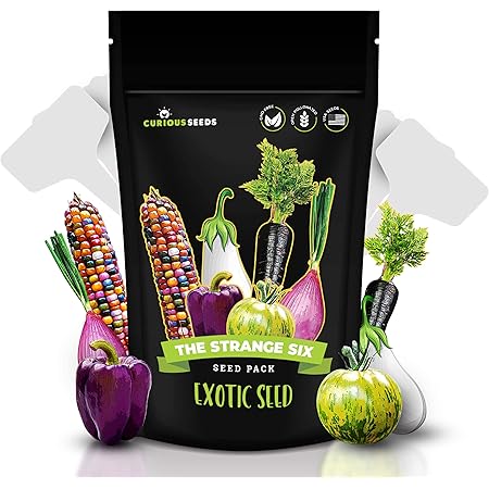 Amazon.com : Exotic Vegetable Seeds Variety Pack - 6 Curious Garden ...
