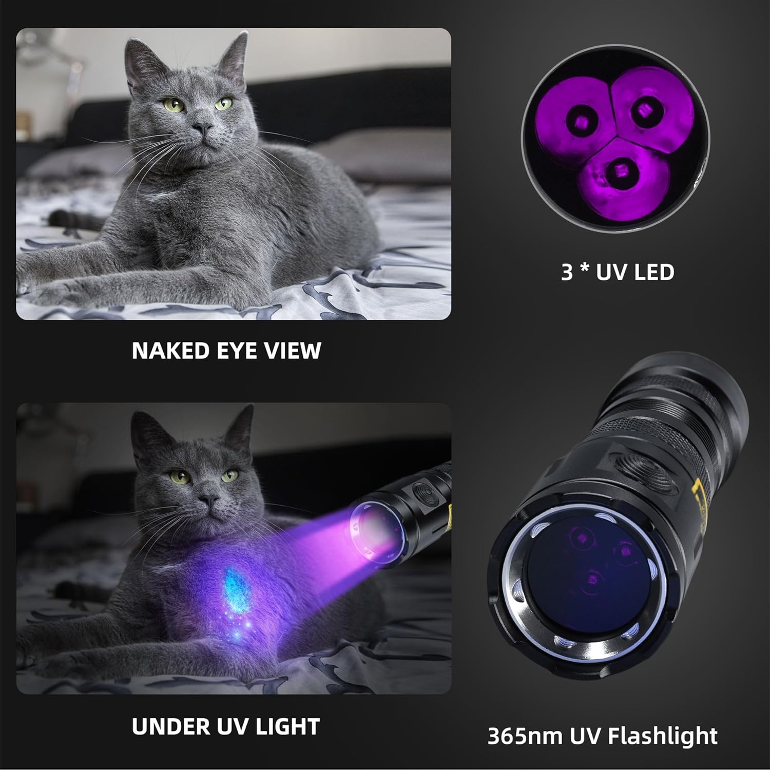 DARKBEAM Linterna UV de 365 nm, 3 LED de luz negra, linterna ...