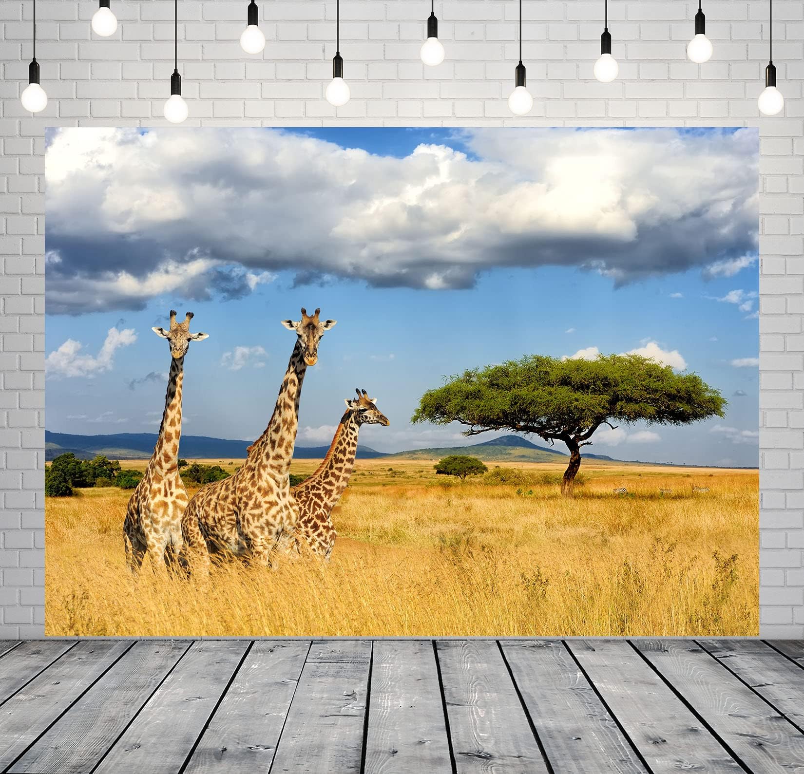 Amazon.com : AOFOTO 7x5ft Safari Giraffe in Nature Reserve Backdrop ...