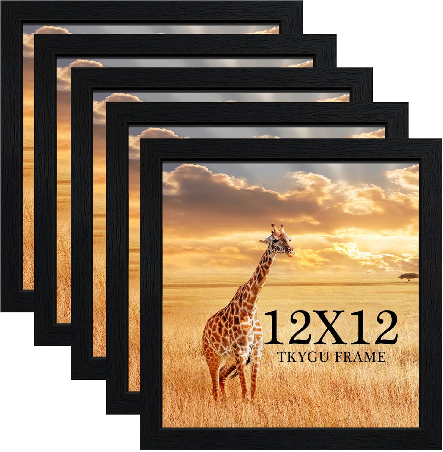 Amazon.com - TKYGU 12x12 Picture Frame Set of 5, Black Wooden Frame ...