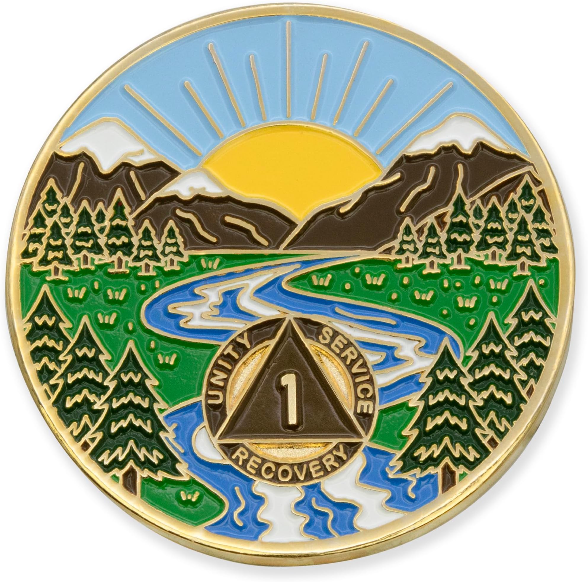 Amazon.com : 1 Year Tree of Life Sobriety Chip, AA Chips and Medallions ...