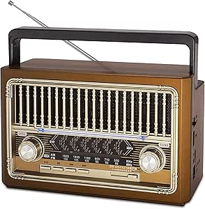 Amazon.com: YUNTUBUK Retro Portable Radio AM FM, Powerful Reception ...