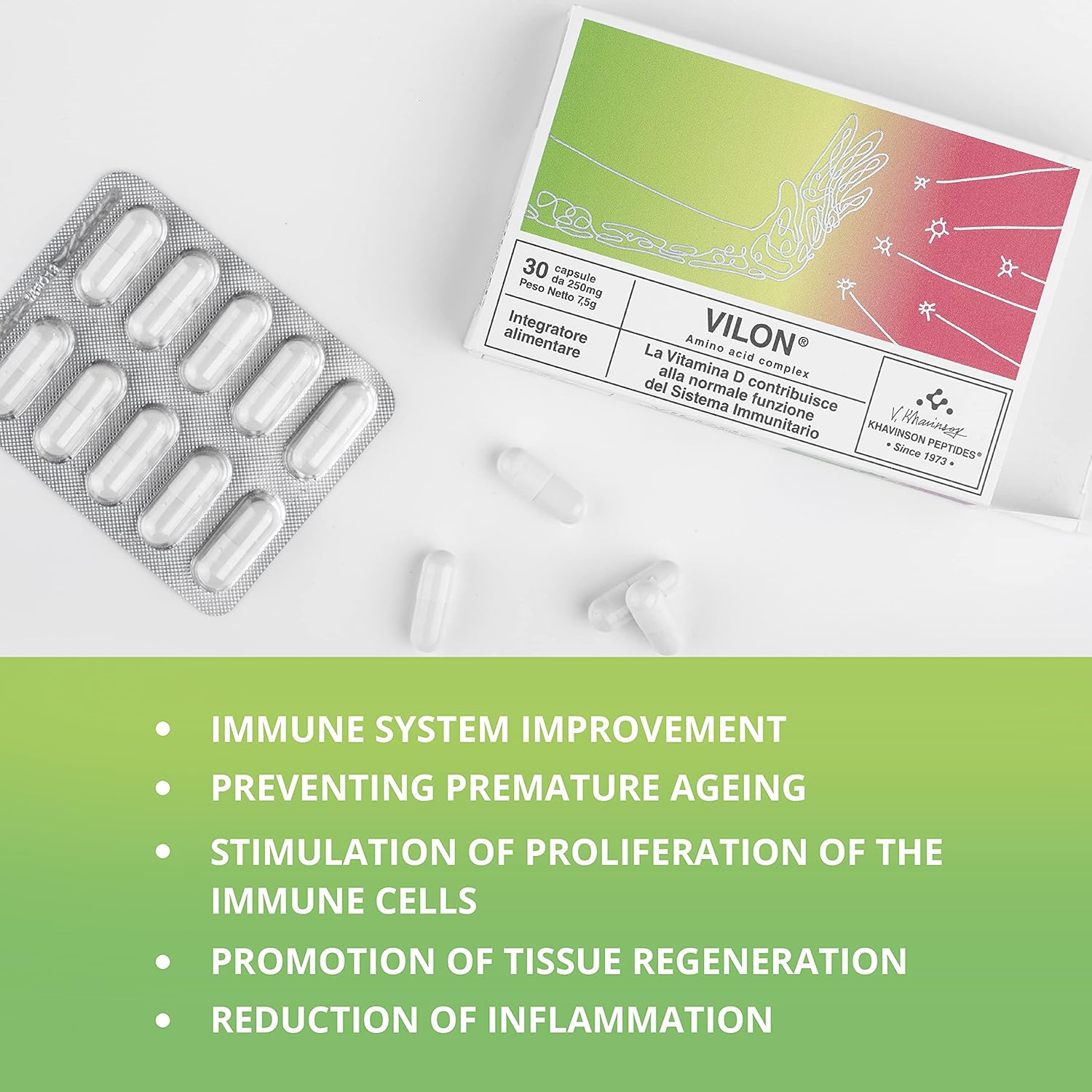 Vilon Peptide Dietary Supplement – Immune System Support – 30 Capsules ...