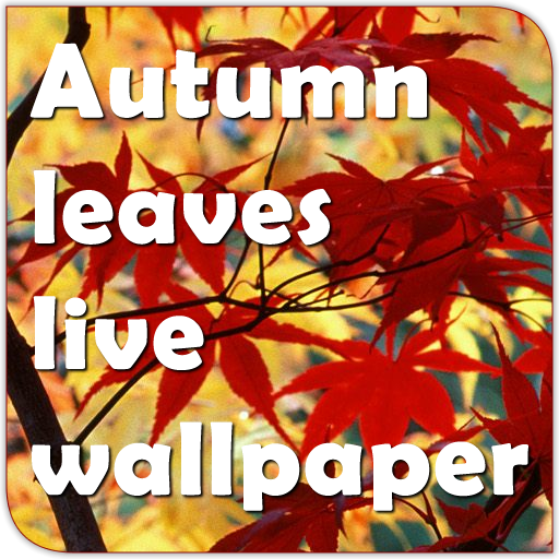 Autumn Transparency Wallpaper