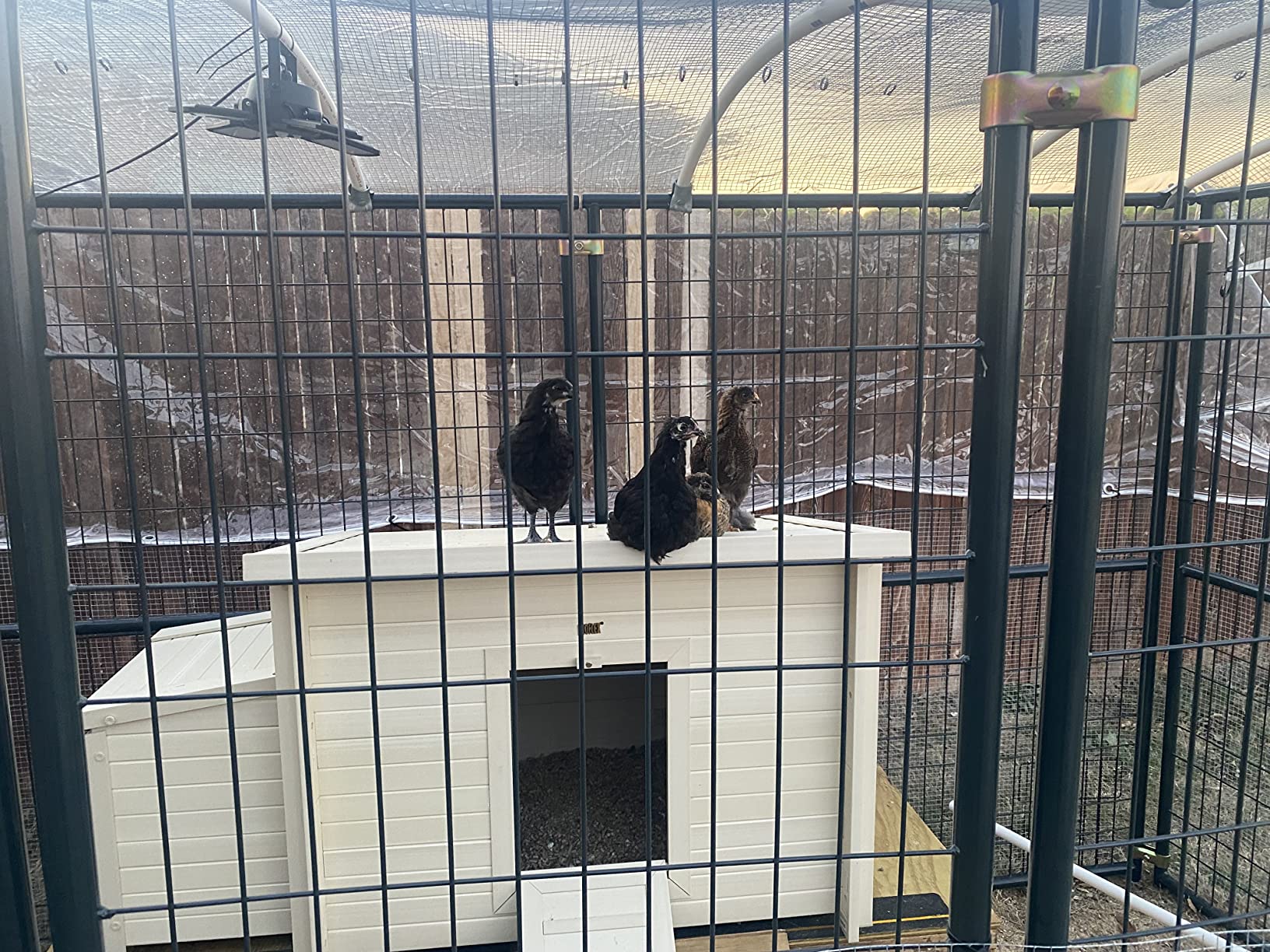 $42/mo - Finance New Age Pet ecoFLEX Fontana Chicken Barn | Buy Now ...