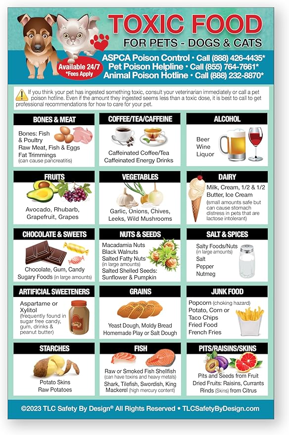 Amazon.com: TLC Safety By Design Enhanced Toxic Foods Fridge Magnet for ...