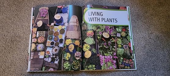 Trees, Leaves, Flowers and Seeds: A Visual Encyclopedia of the Plant ...