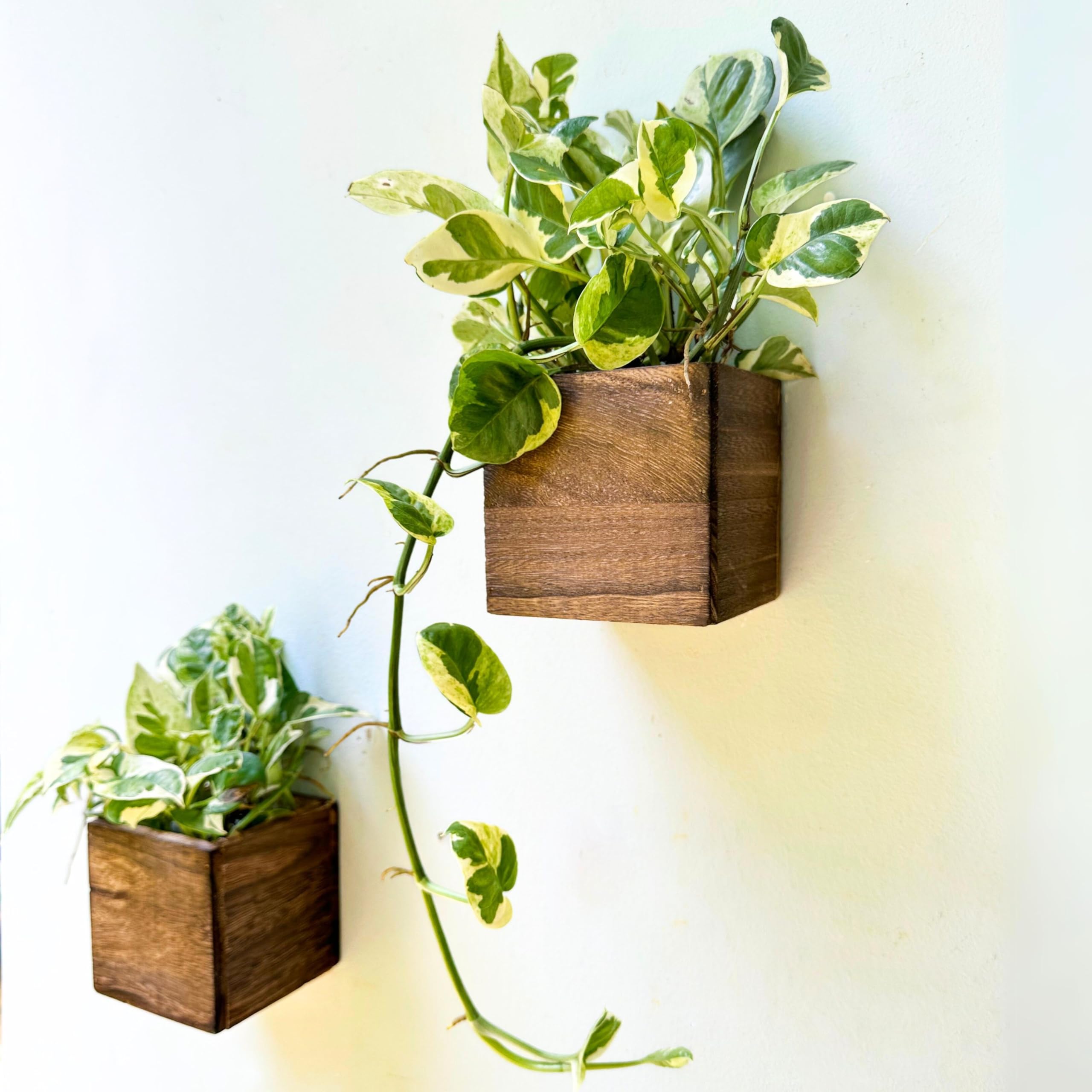 Wall Mounted Wood Planter Box Square Wooden Box Wall Hanging Flower