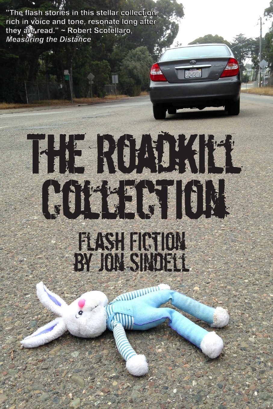 The Roadkill Collection: Sindell, Jon: 9780990487234: Amazon.com: Books