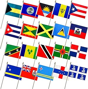 Amazon.com: LoveVC Caribbean 20 Countries Flags on Wood Stick Small Mini Hand Held Flag,5x8 Inch ...