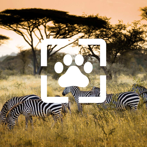 Animals Wallpaper HD Free - App on Amazon Appstore