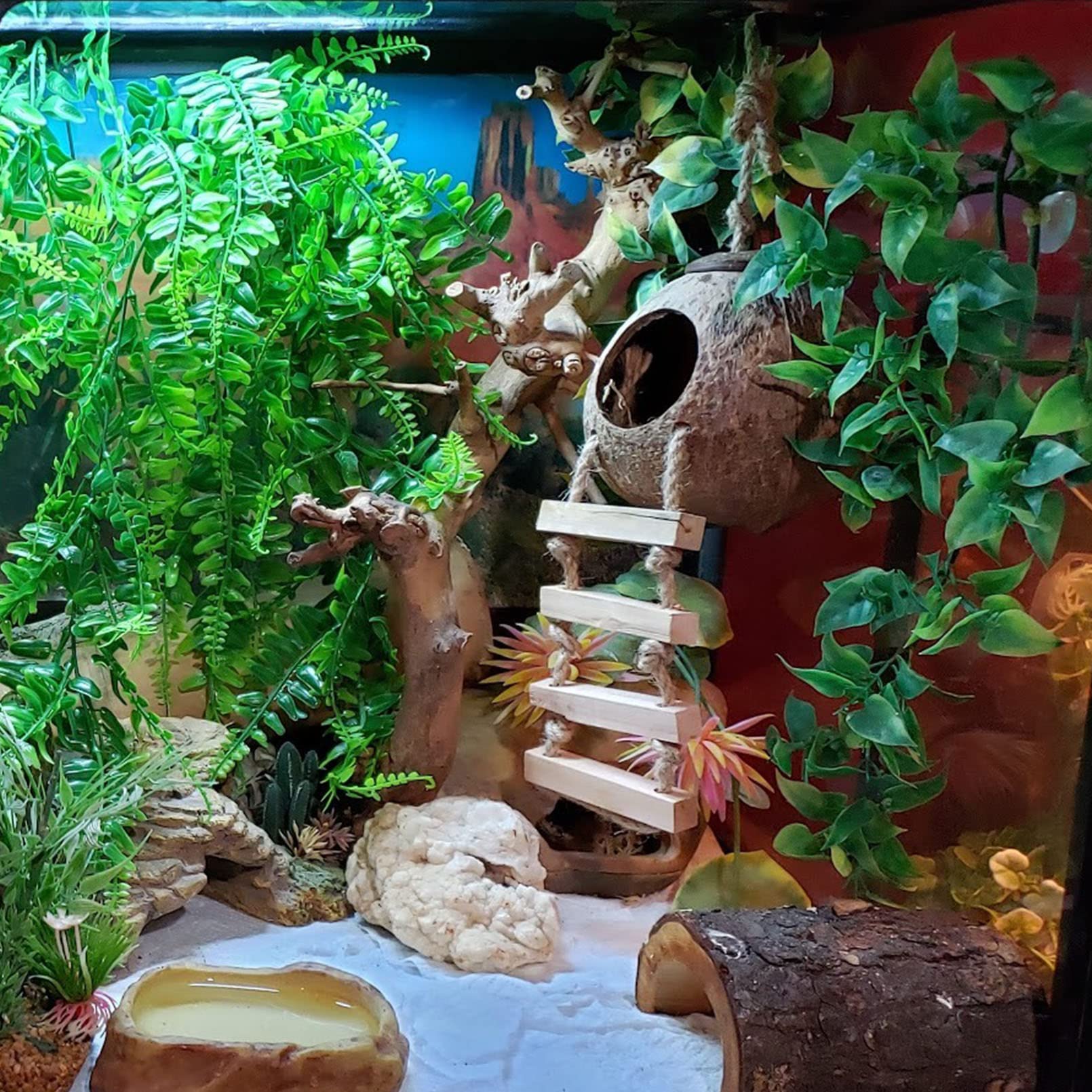 Snapklik.com : Kathson Leopard Gecko Coconut Husk Hut Reptile Habitat ...