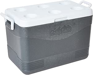 Cosmoplast Keep Cold Plastic Picnic Icebox 46 Liter - Grey: Buy Online ...