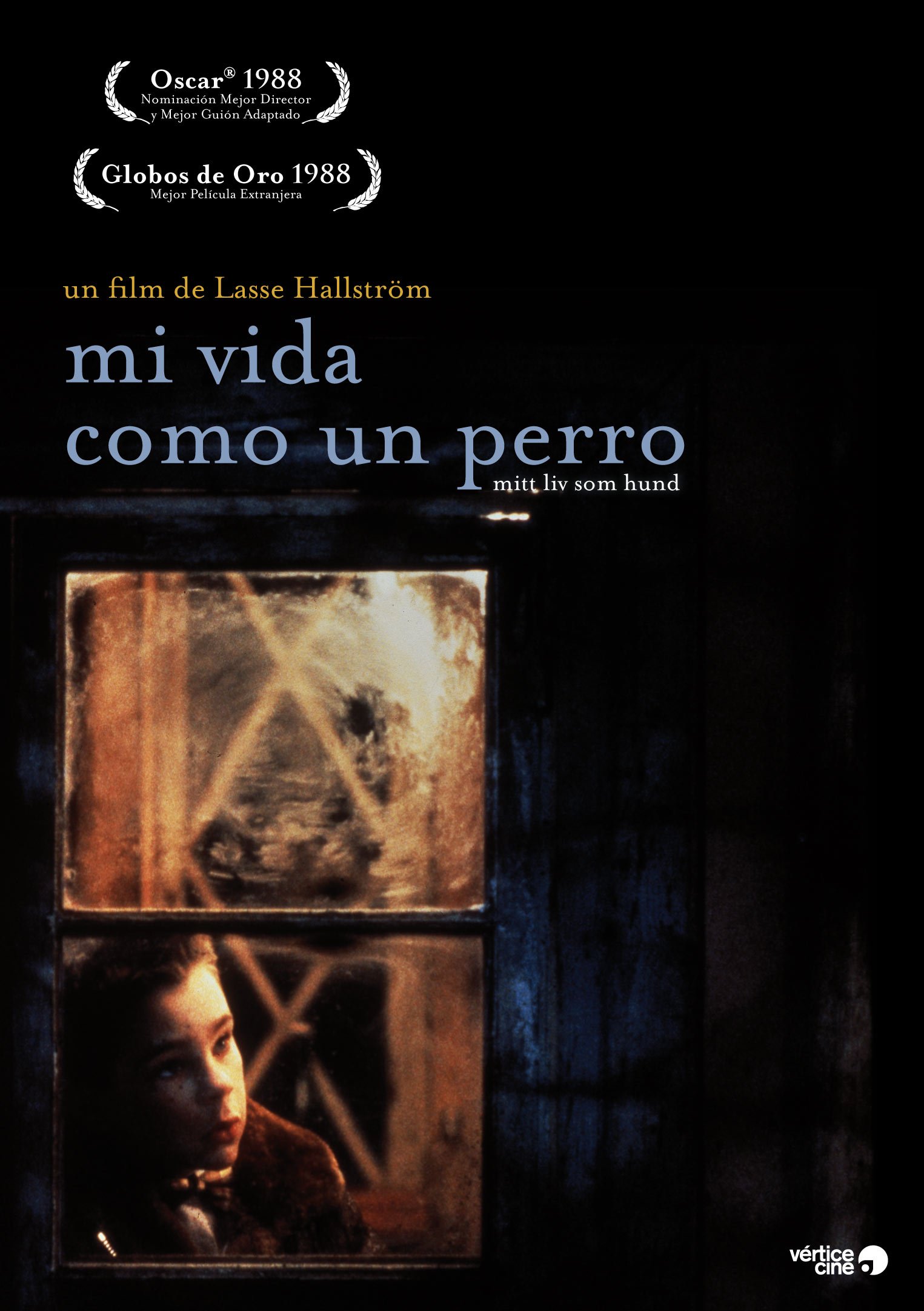 Mi vida como un perro [DVD]: Amazon.es: Anton Glanzelius, Anki Lidén ...