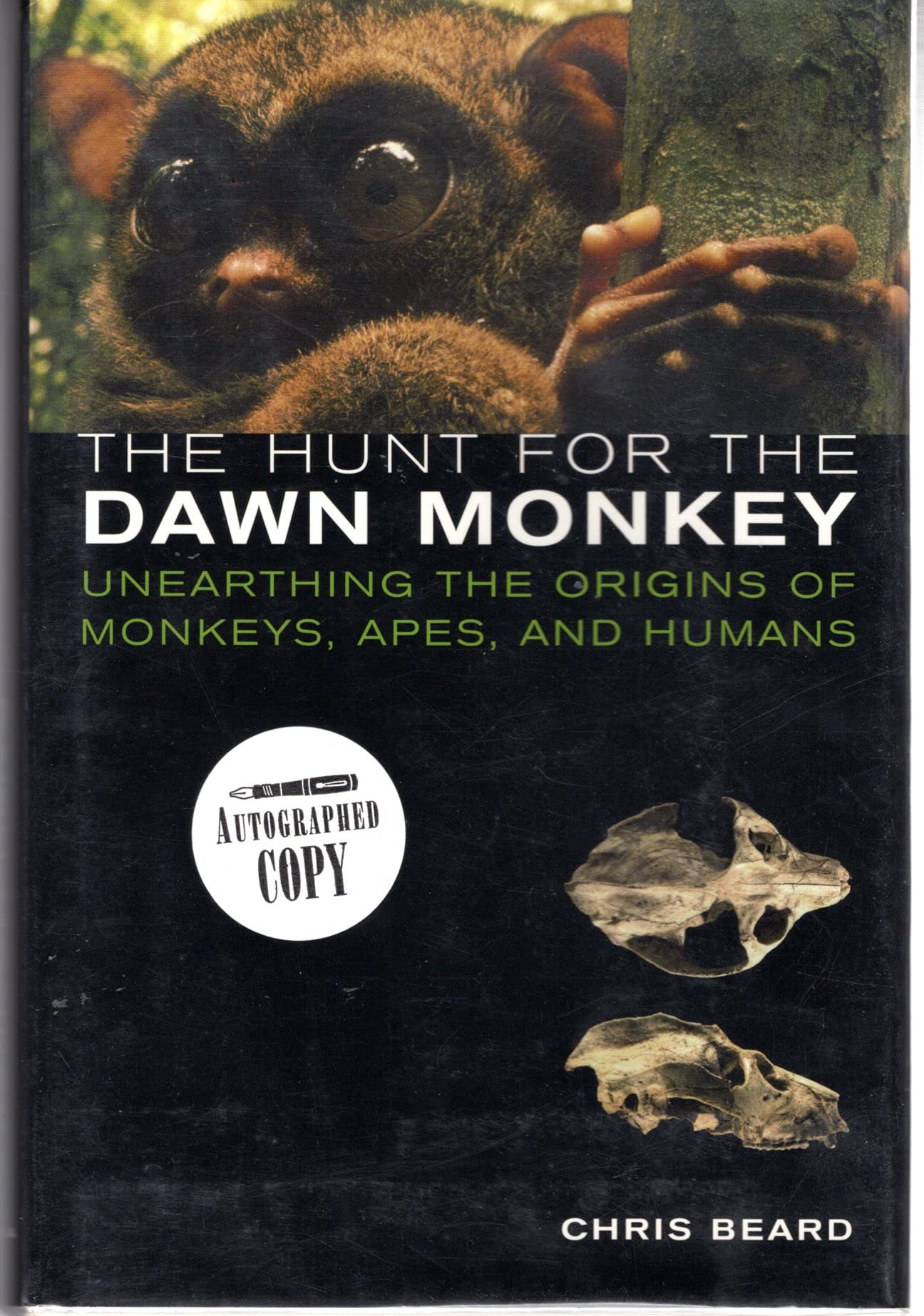 Amazon.com: The Hunt for the Dawn Monkey: Unearthing the Origins of ...