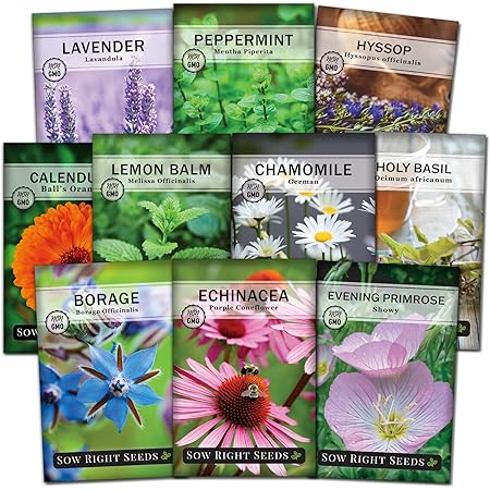 Amazon.com : Sereniseed Certified Organic Herbal Tea Seed Collection ...