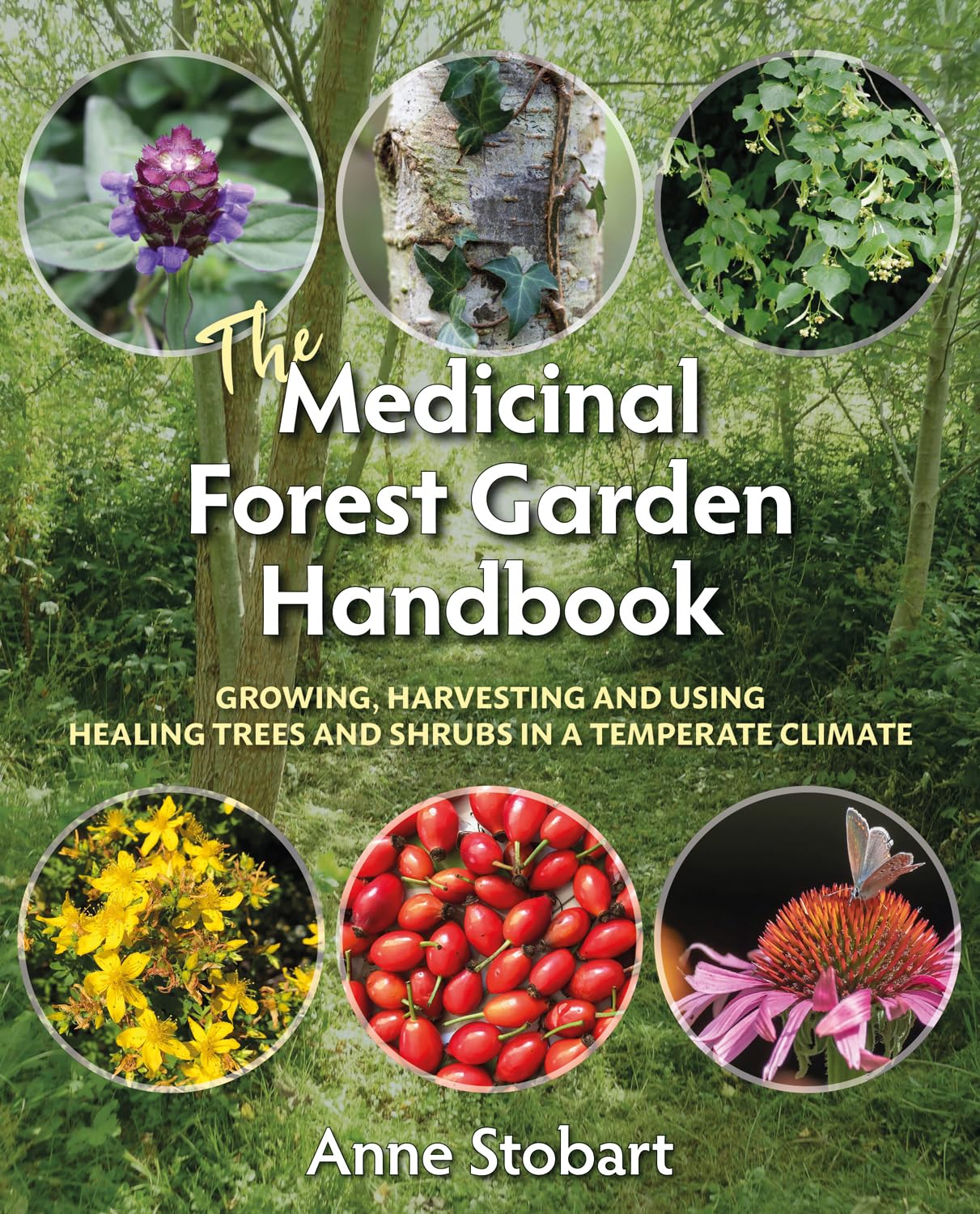 The Medicinal Forest Garden Handbook: Growing, Harvesting and Using ...