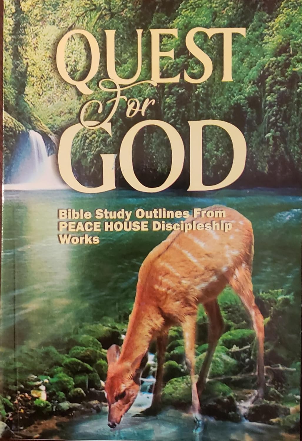 Quest For God: Gbile Akanni: Amazon.com: Books