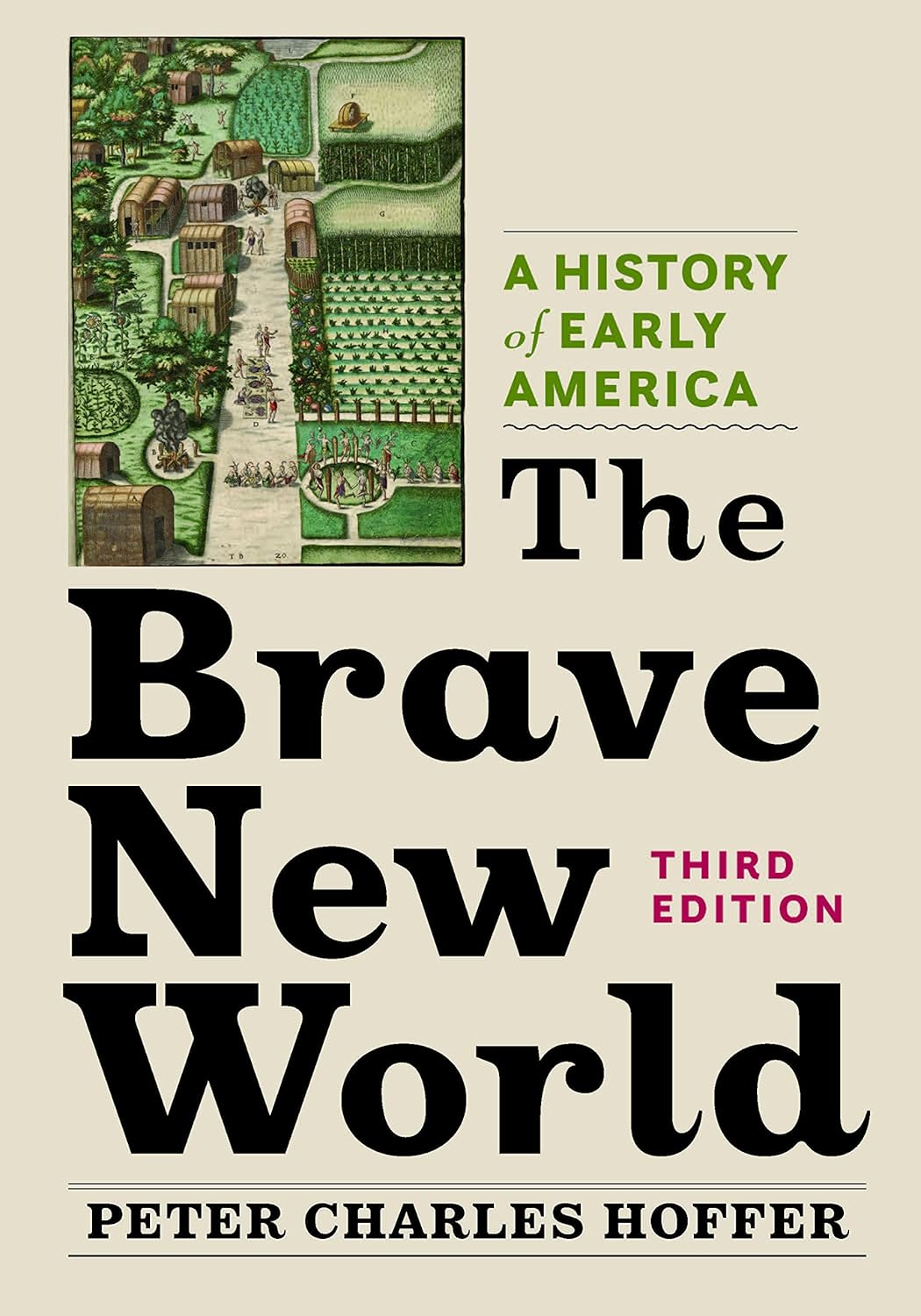 The Brave New World: A History of Early America: Hoffer, Peter Charles ...