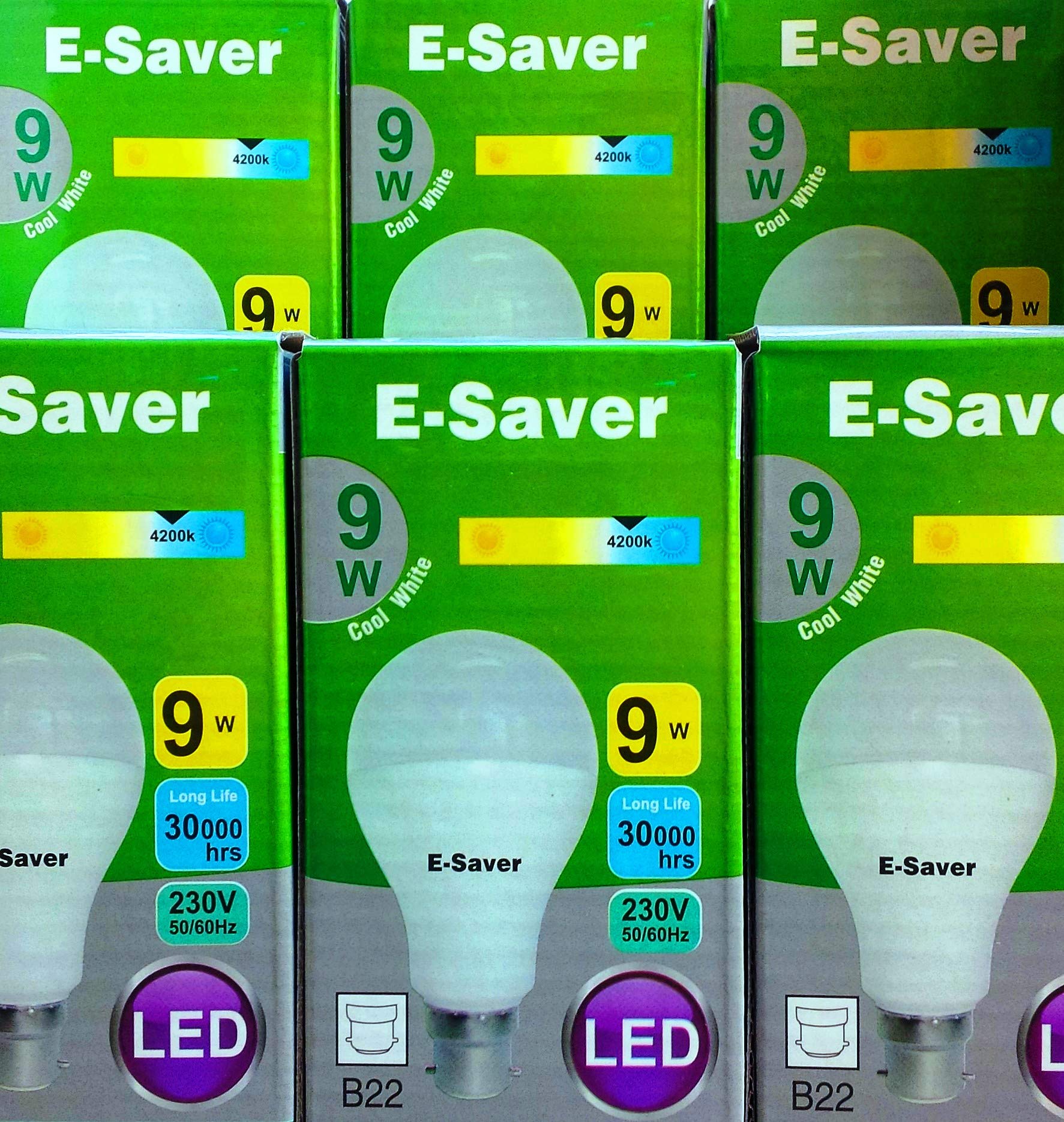 E Saverled Standard Gls A60 Globe Led Light Bulbs 9w | Desertcart ...