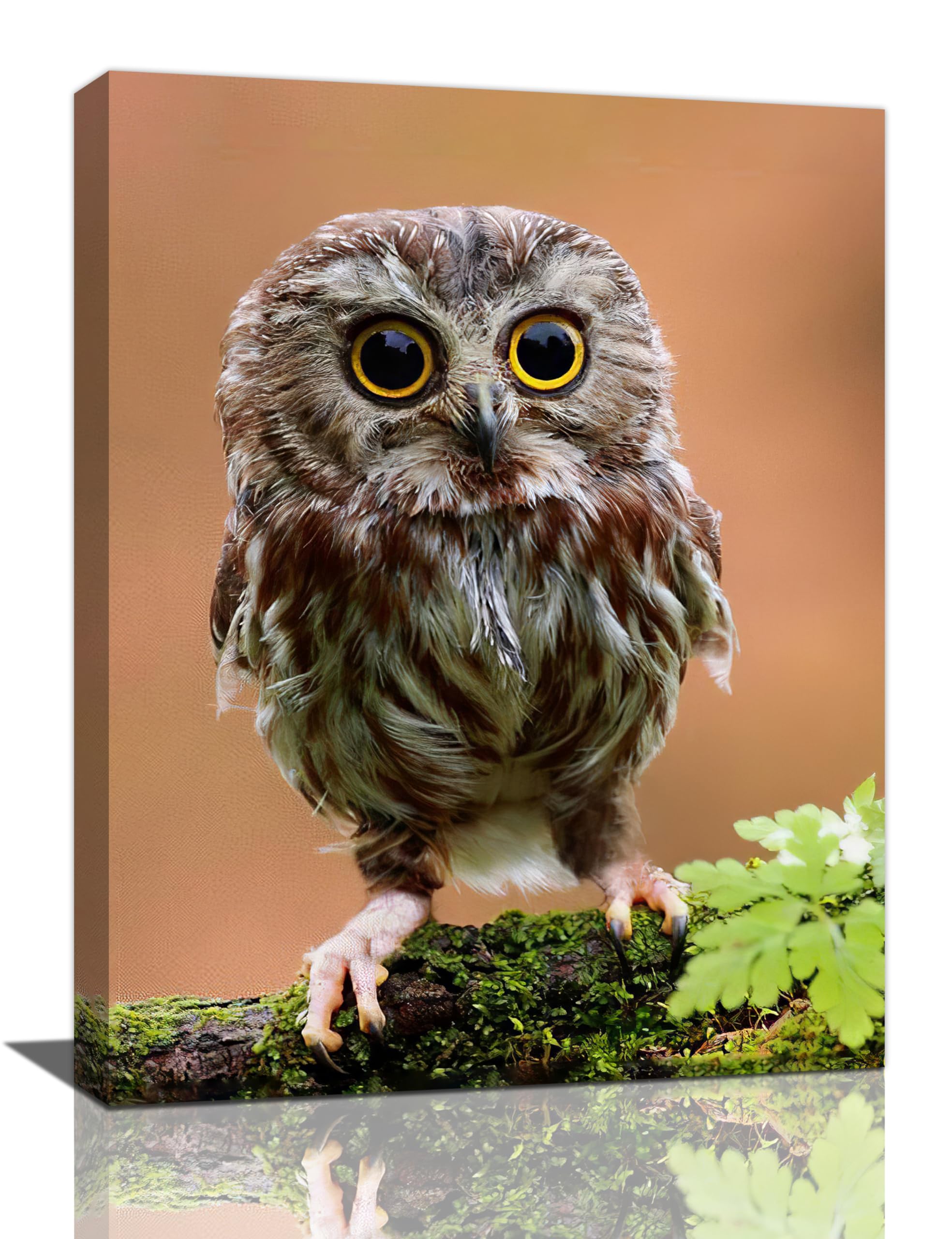 Cute Owl Home Decor