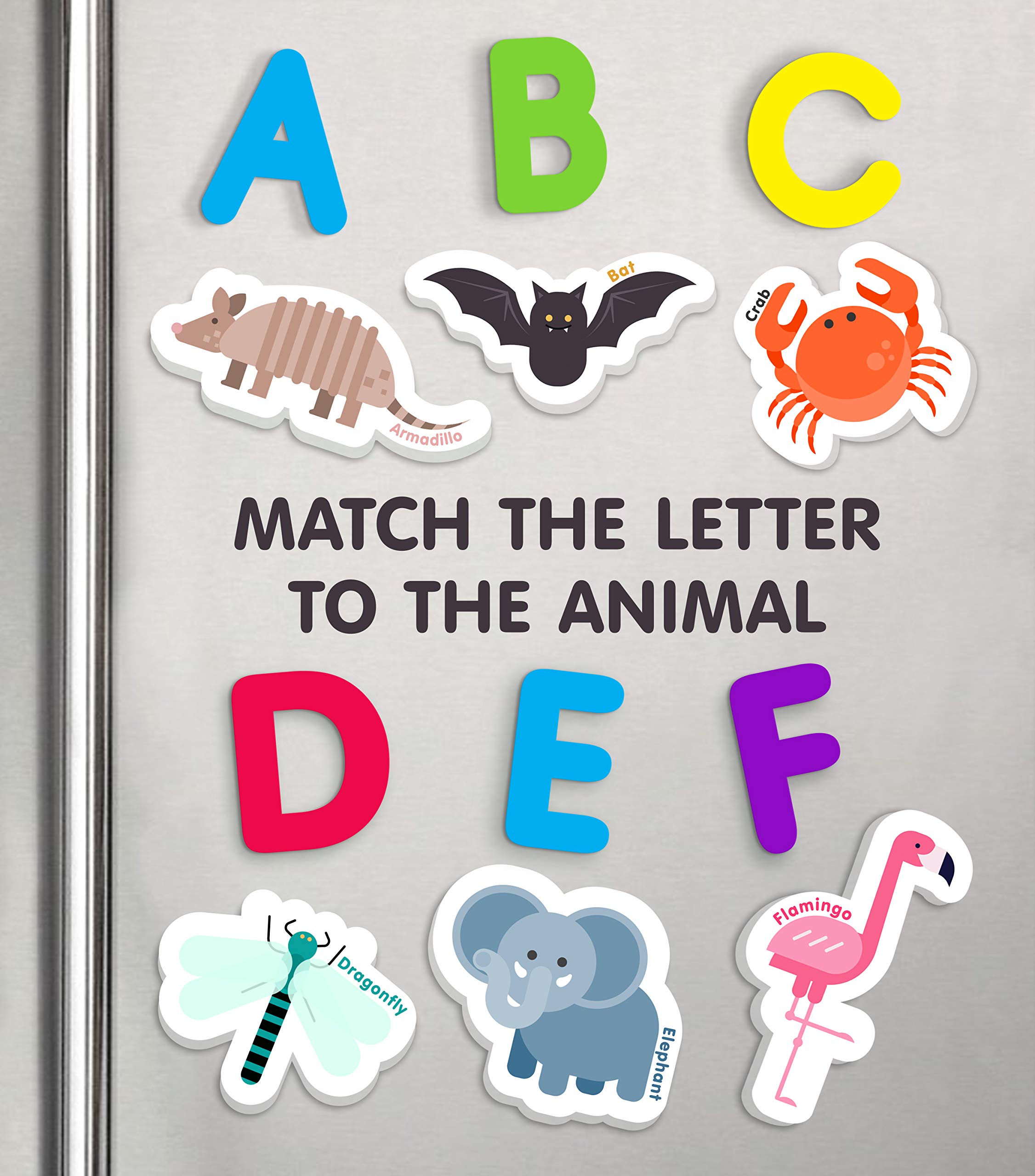 Curious Columbus Animal Magnets for Kids | Set of 52 Magnetic Animals ...