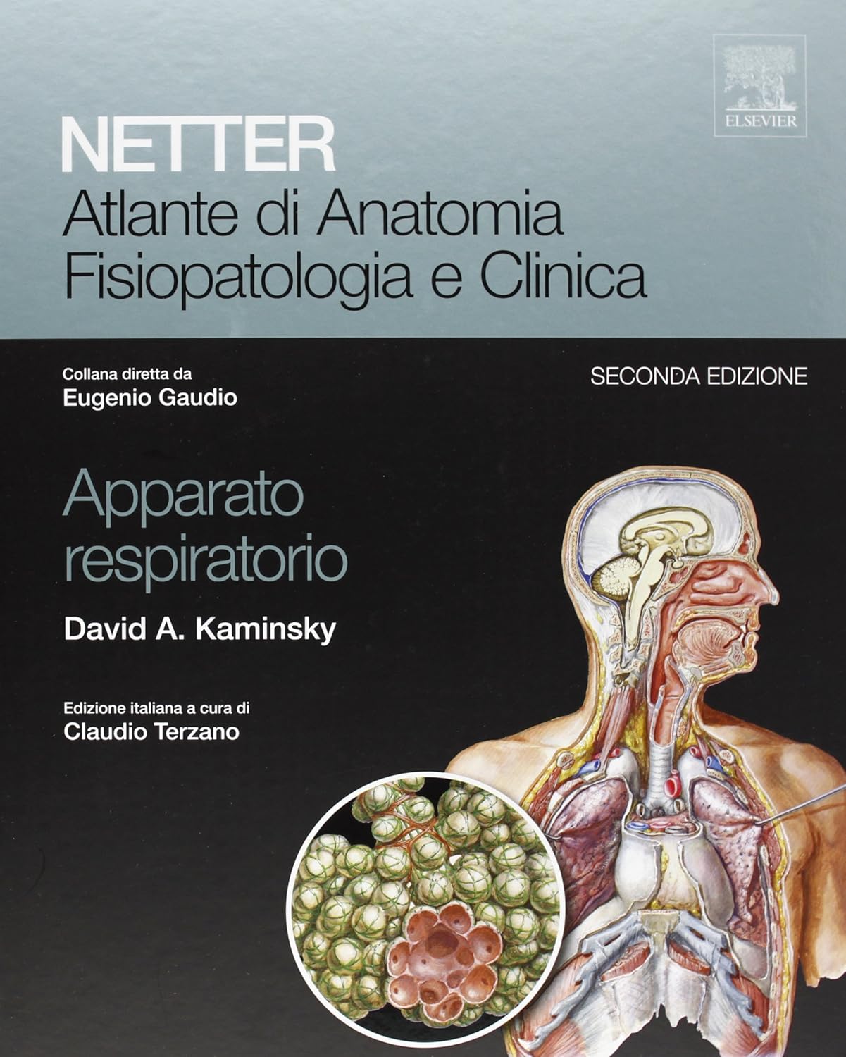 Netter. Atlante di anatomia fisiopatologia e clinica. Apparato ...