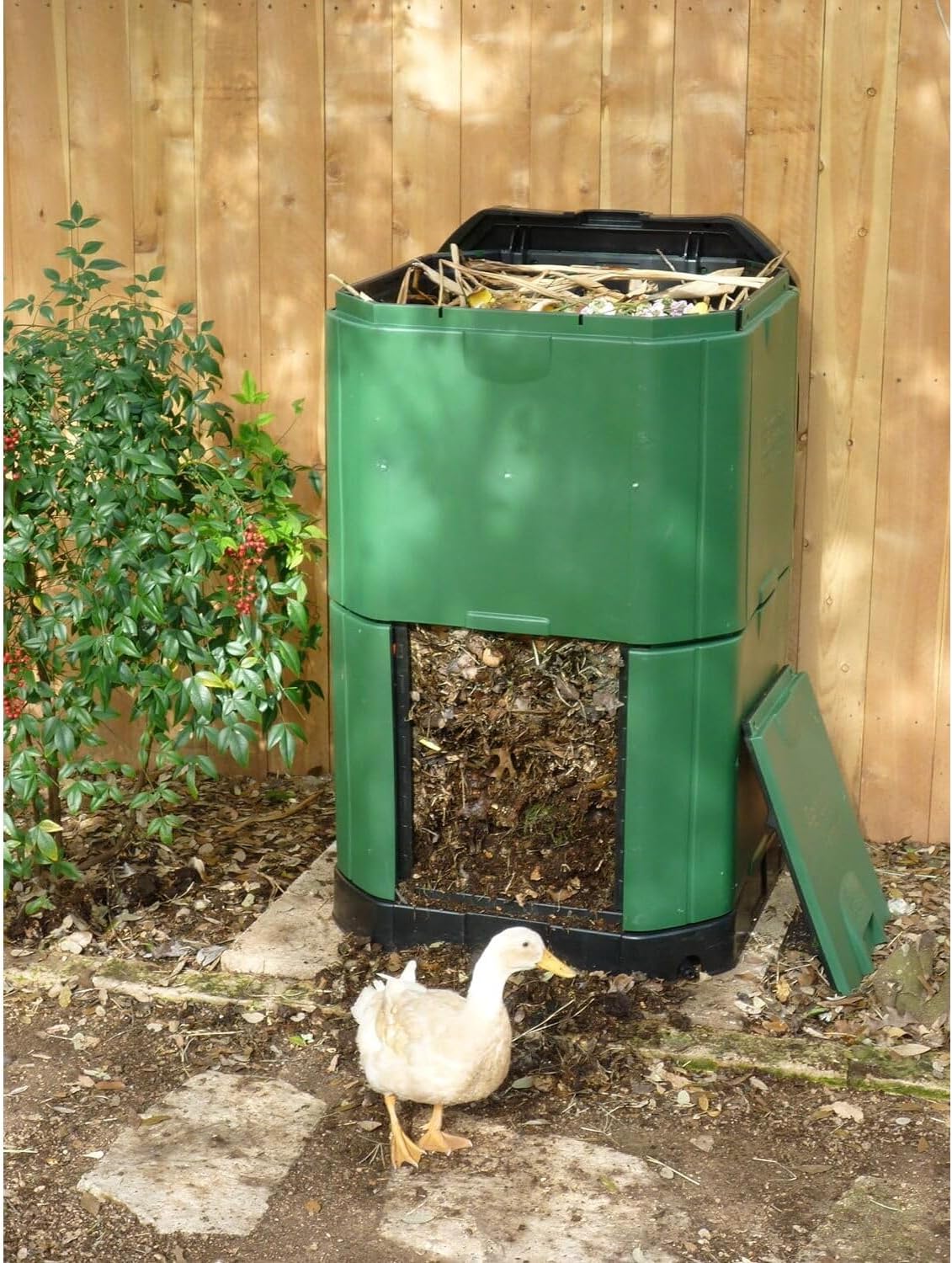 Get the Best Composter For Your Yard