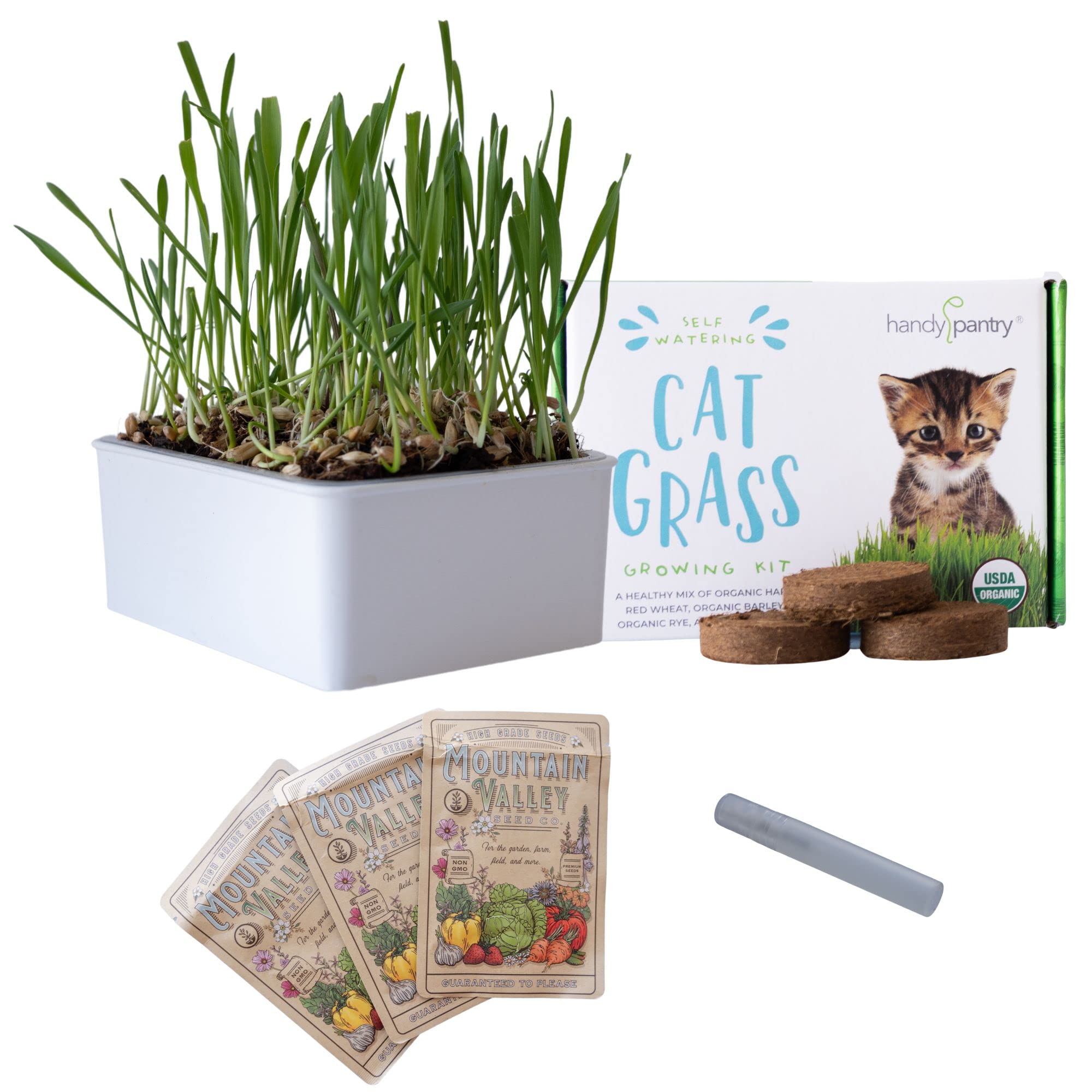 Amazon.com : Organic Cat Grass Growing Kit - Easy Self Watering Pet ...
