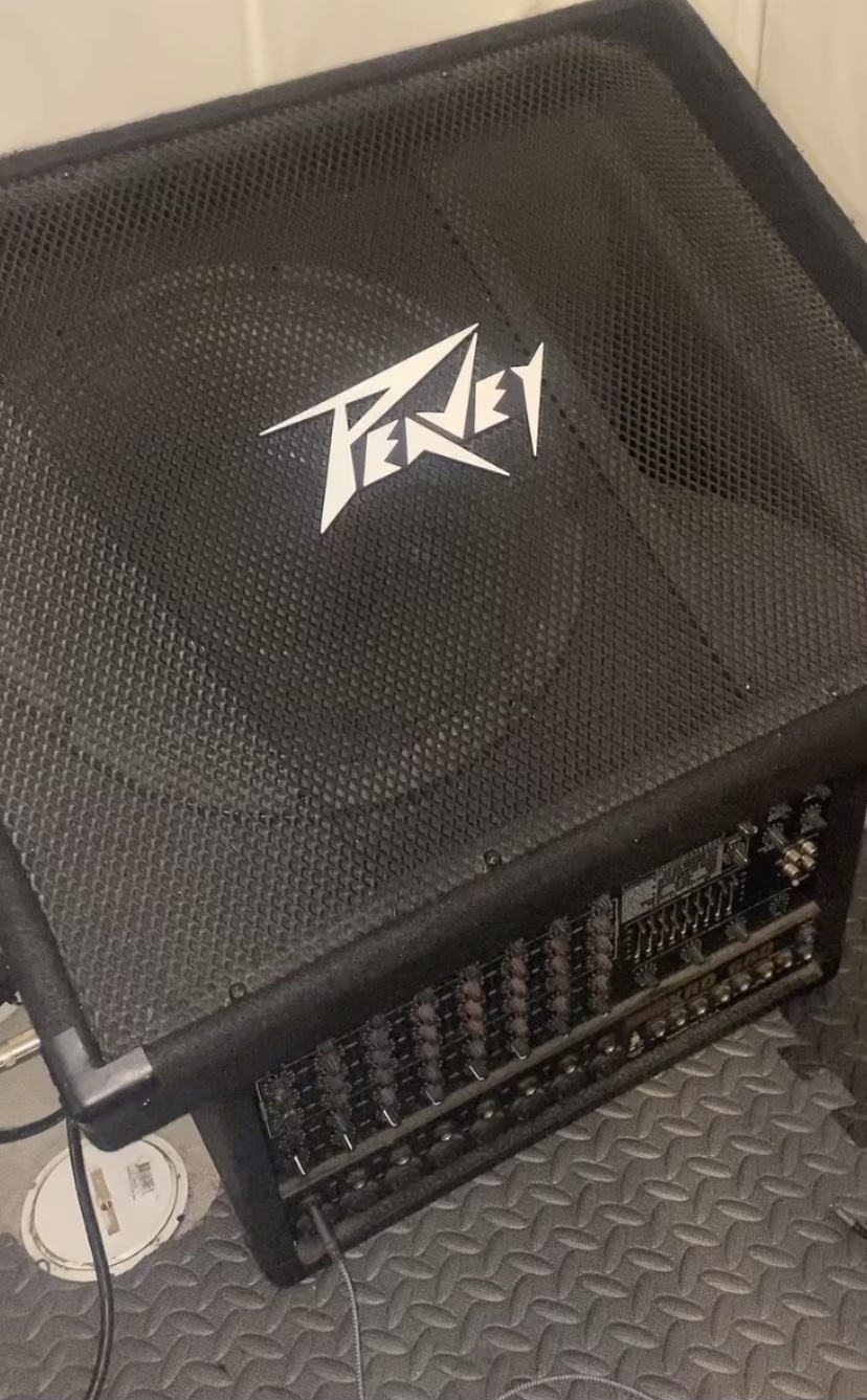 Watch Customer Review Powerful Peavey PV 12M 2-Way Floor Monitor on ...