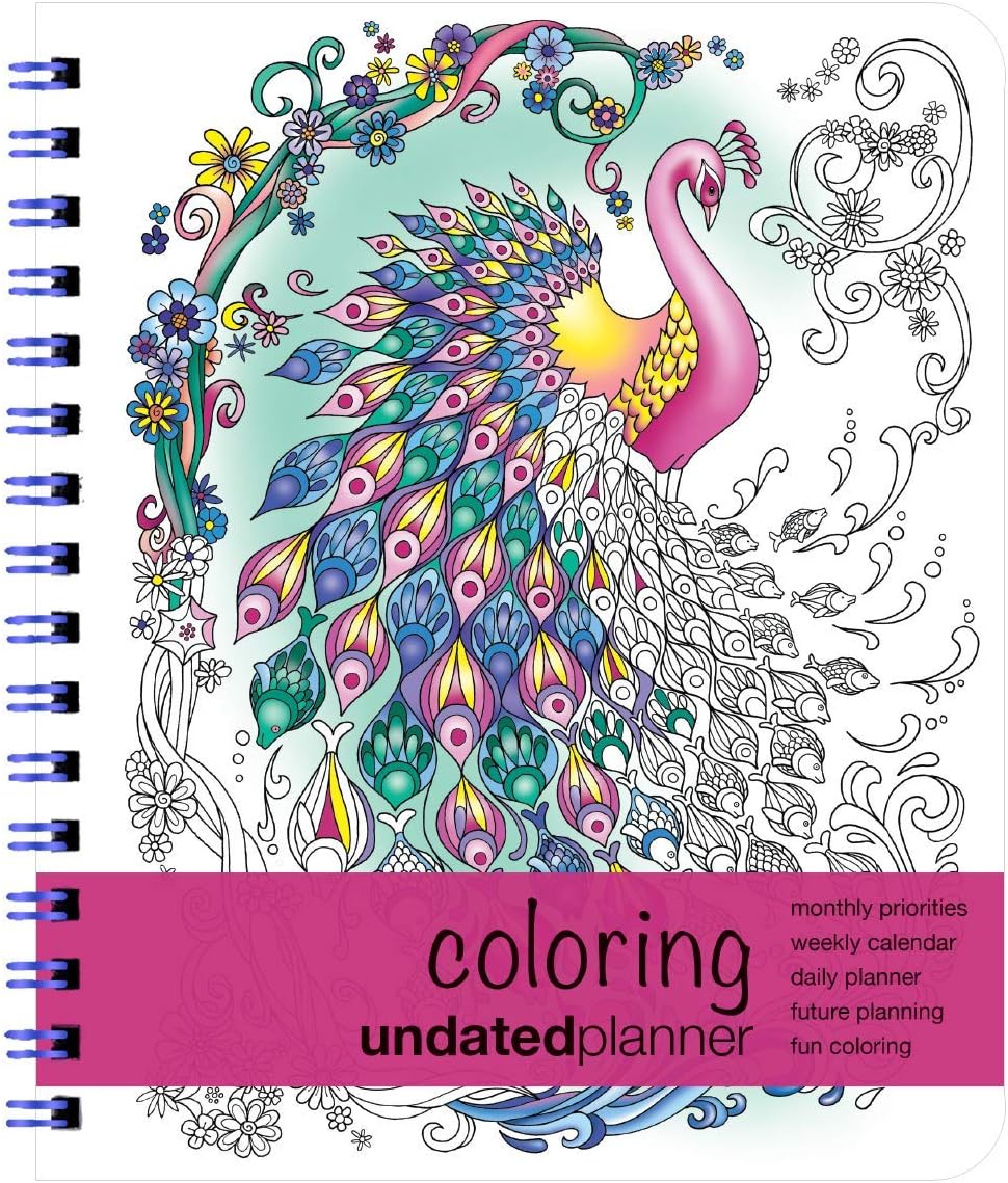 Amazon.com : Doodle Academic Planner 2024-2025 | July 2024 - August ...