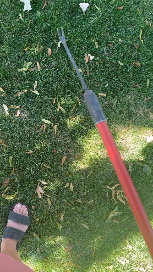 Watch Review on easy to use hand weeder on Amazon Live