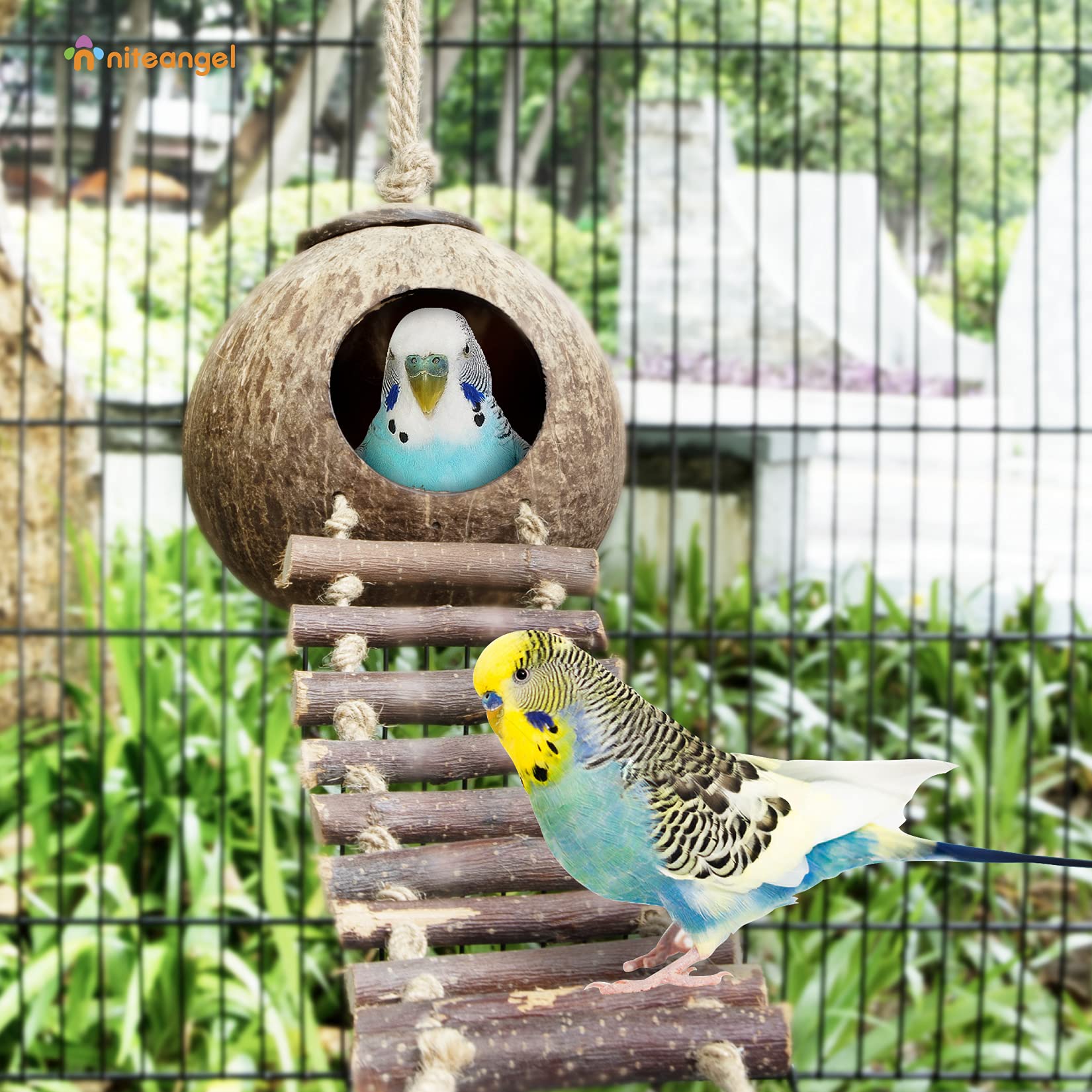 Niteangel Natural Coconut Hamster Hideaway with Ladder, Bird and Small ...