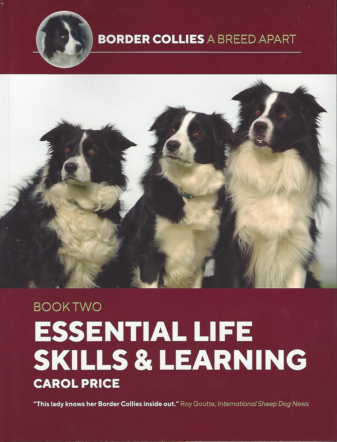 Life Skills and Learning (Border Collies: A Breed Apart): Price, Carol ...