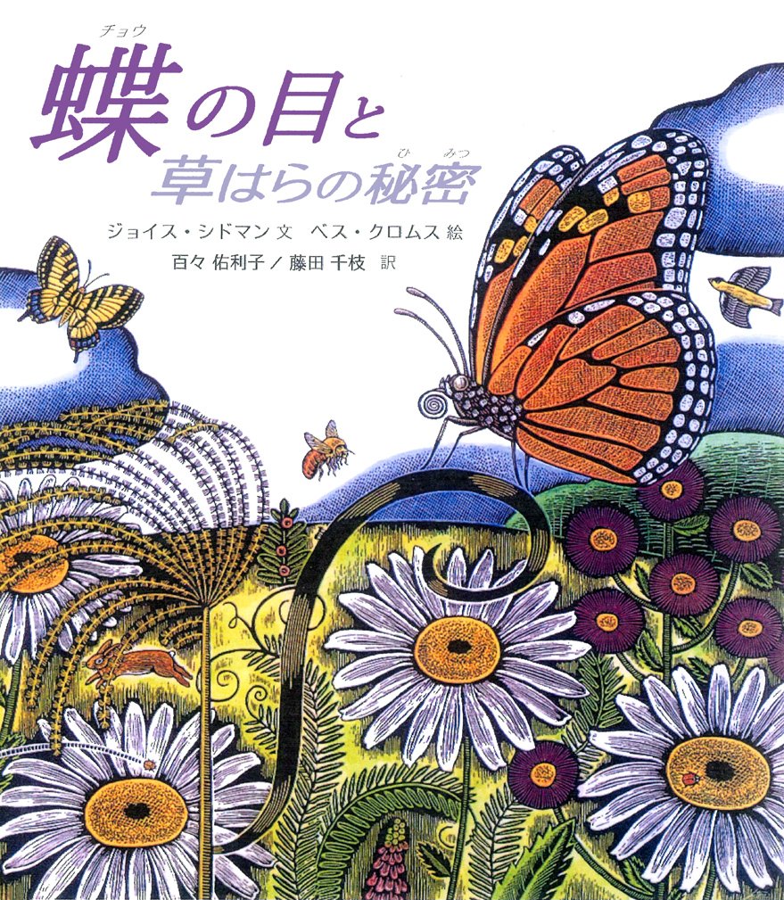 Butterfly Eyes and Other Secrets of the Meadow : Sidman, Joyce: Amazon ...
