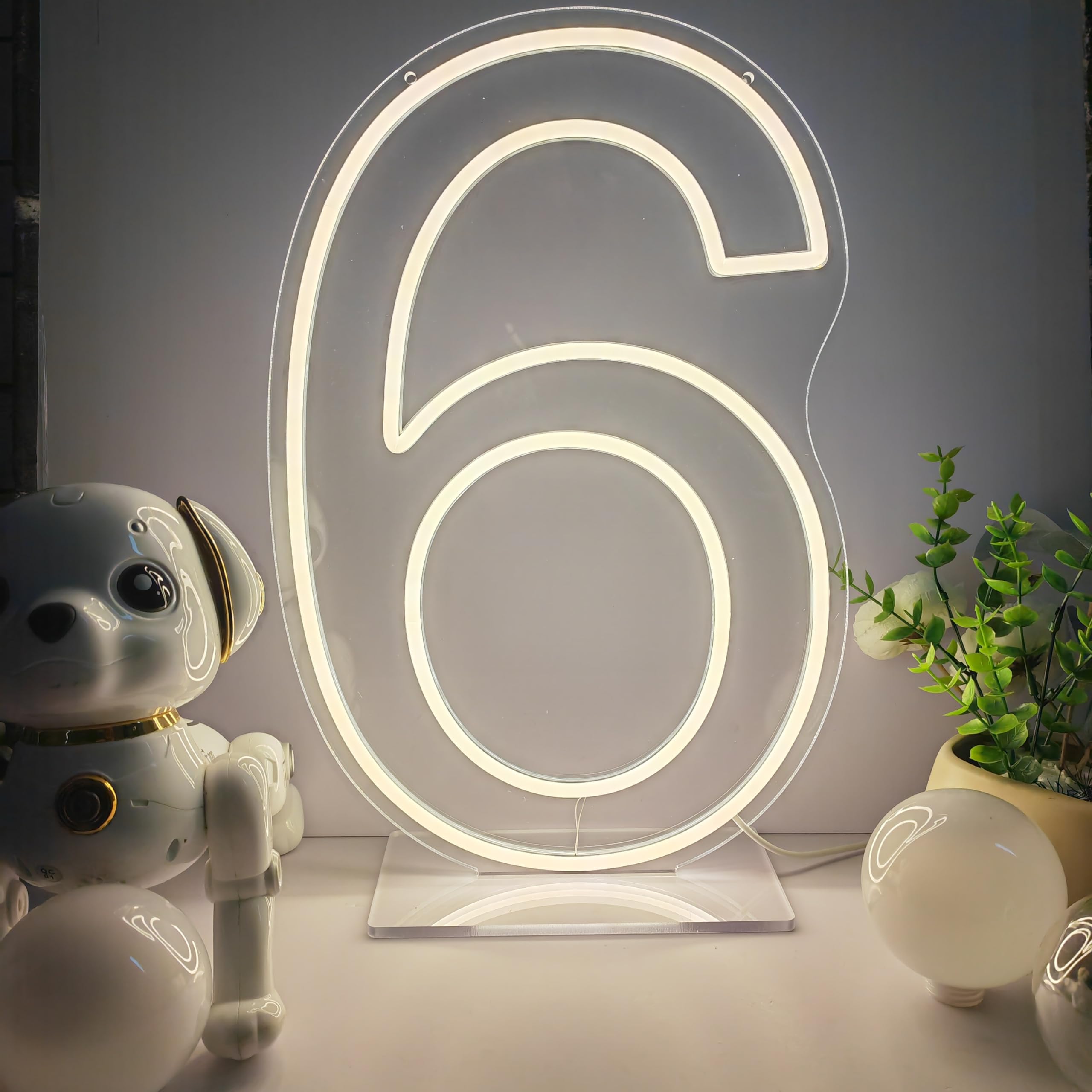 Amazon.com : Neon Signs Number 6 Birthdays Decor Neon Lights Party USB ...