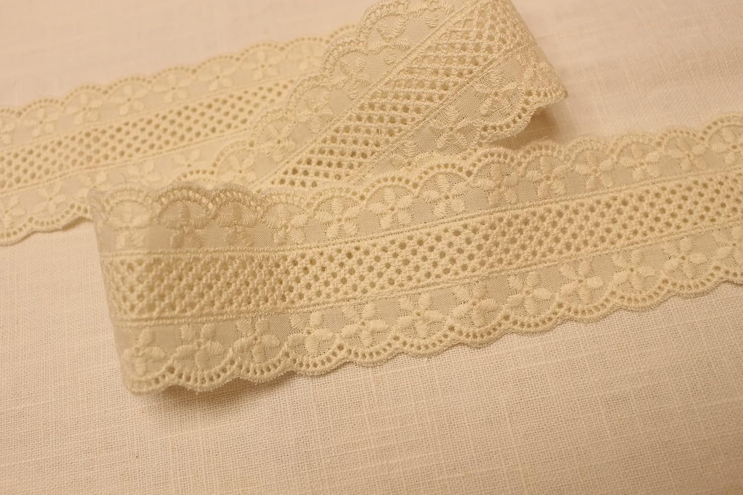 Amazon.com: 2 Yards Broderie Anglaise Cotton Eyelet Double Sided lace ...