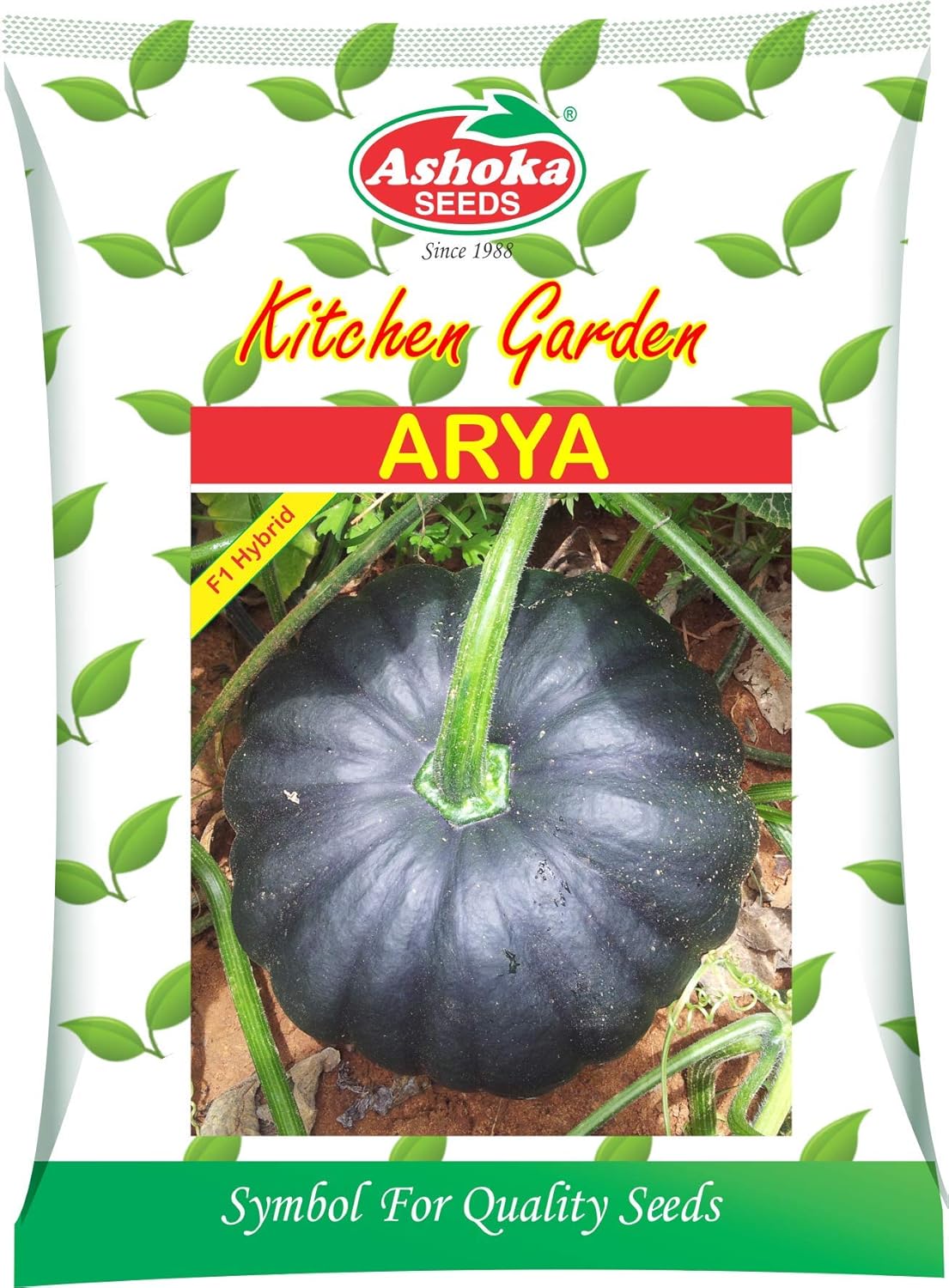 Ashoka Seeds Pumpkin ARYA Seeds pack of 50 Seeds : Amazon.in: Garden ...