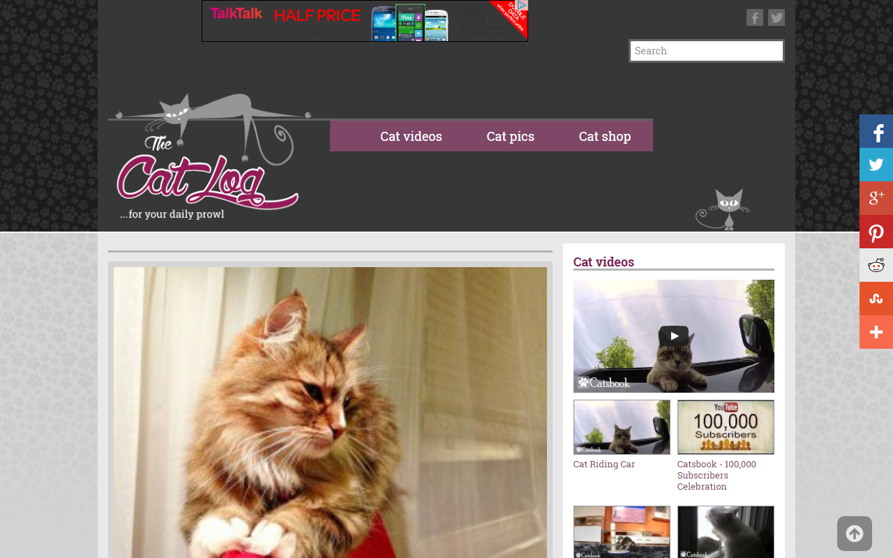 The Cat Log - App on Amazon Appstore