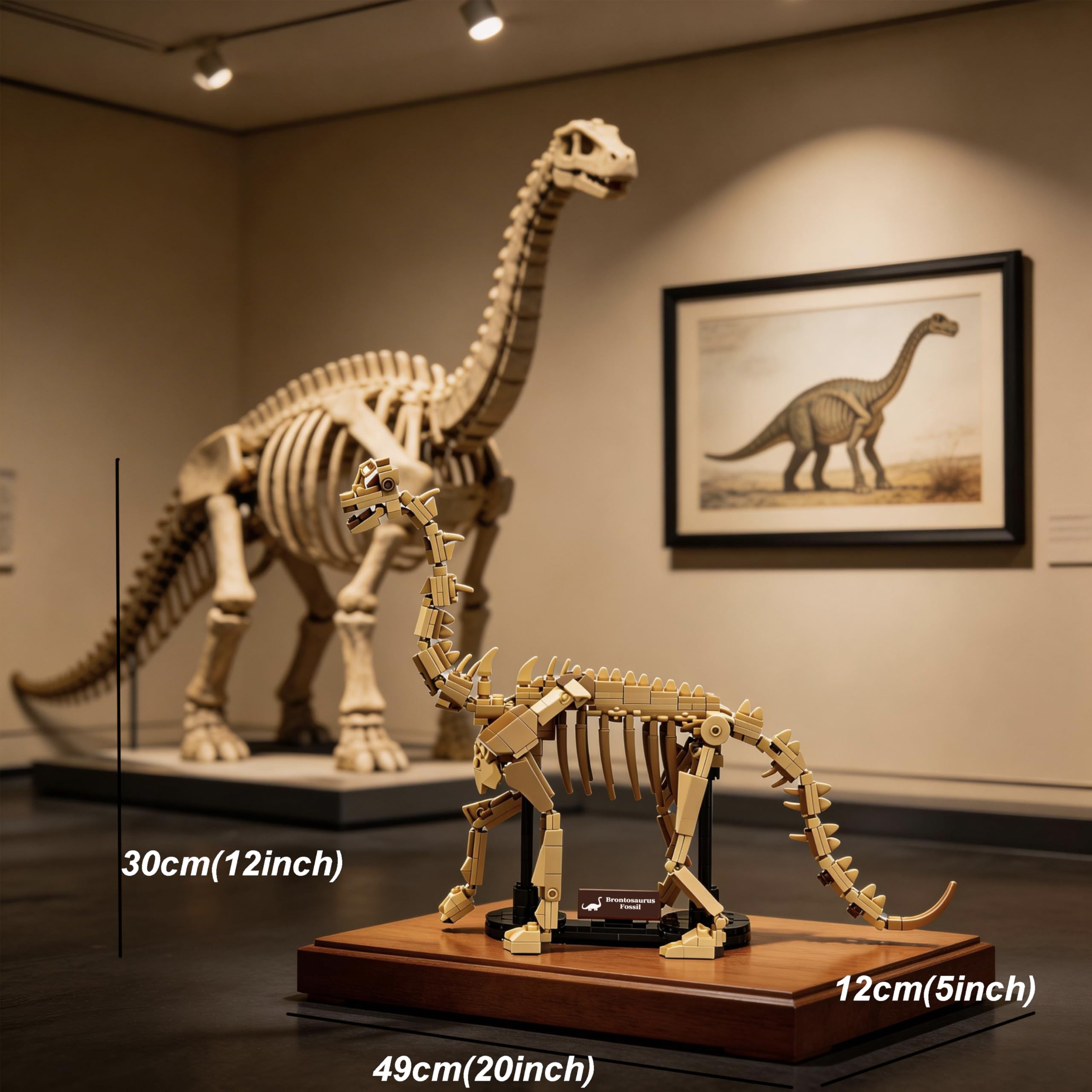 Brontosaurus Skeleton Museum
