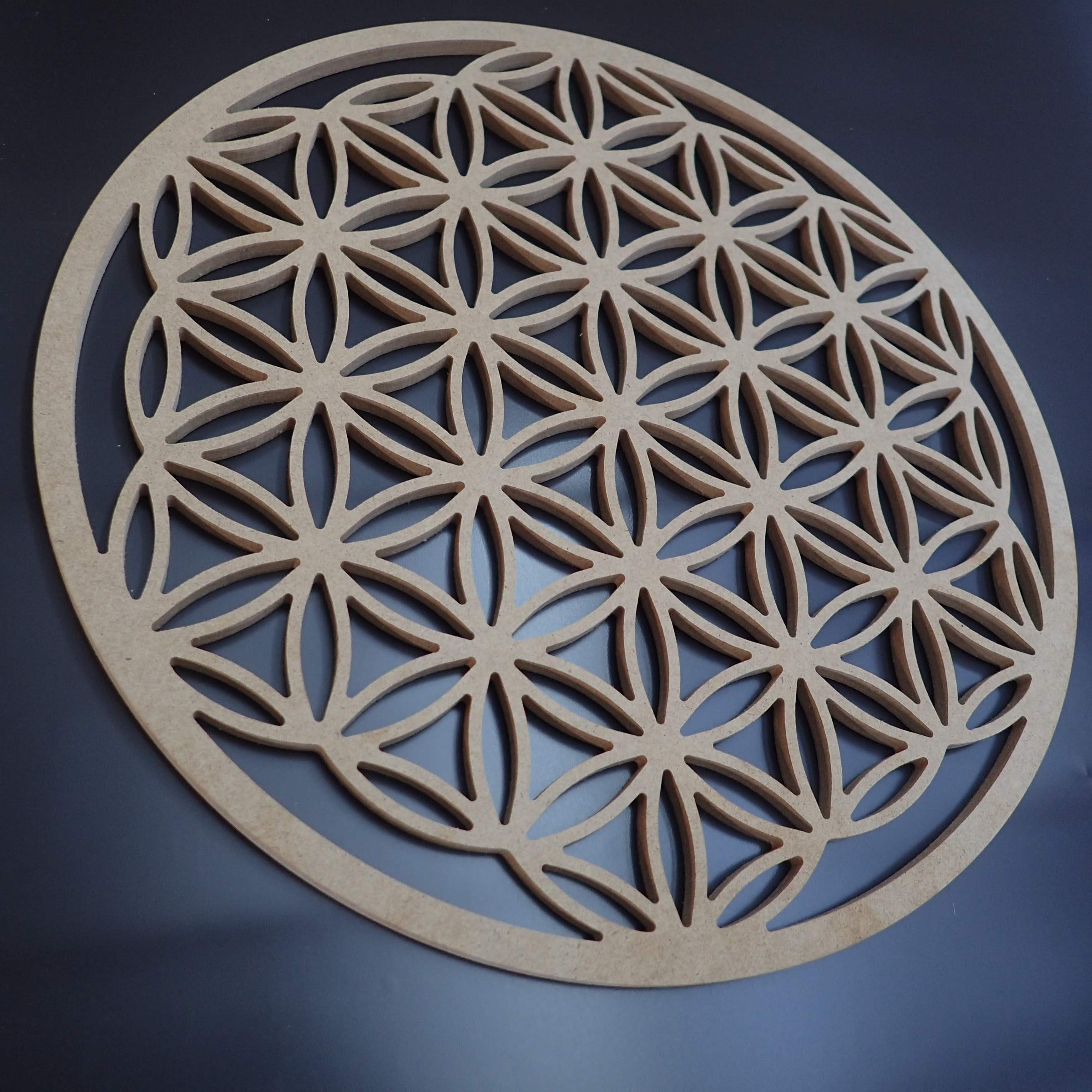 Bloem Van Liefde Heilige Geometrie Bloem Van Het Leven Grafisch