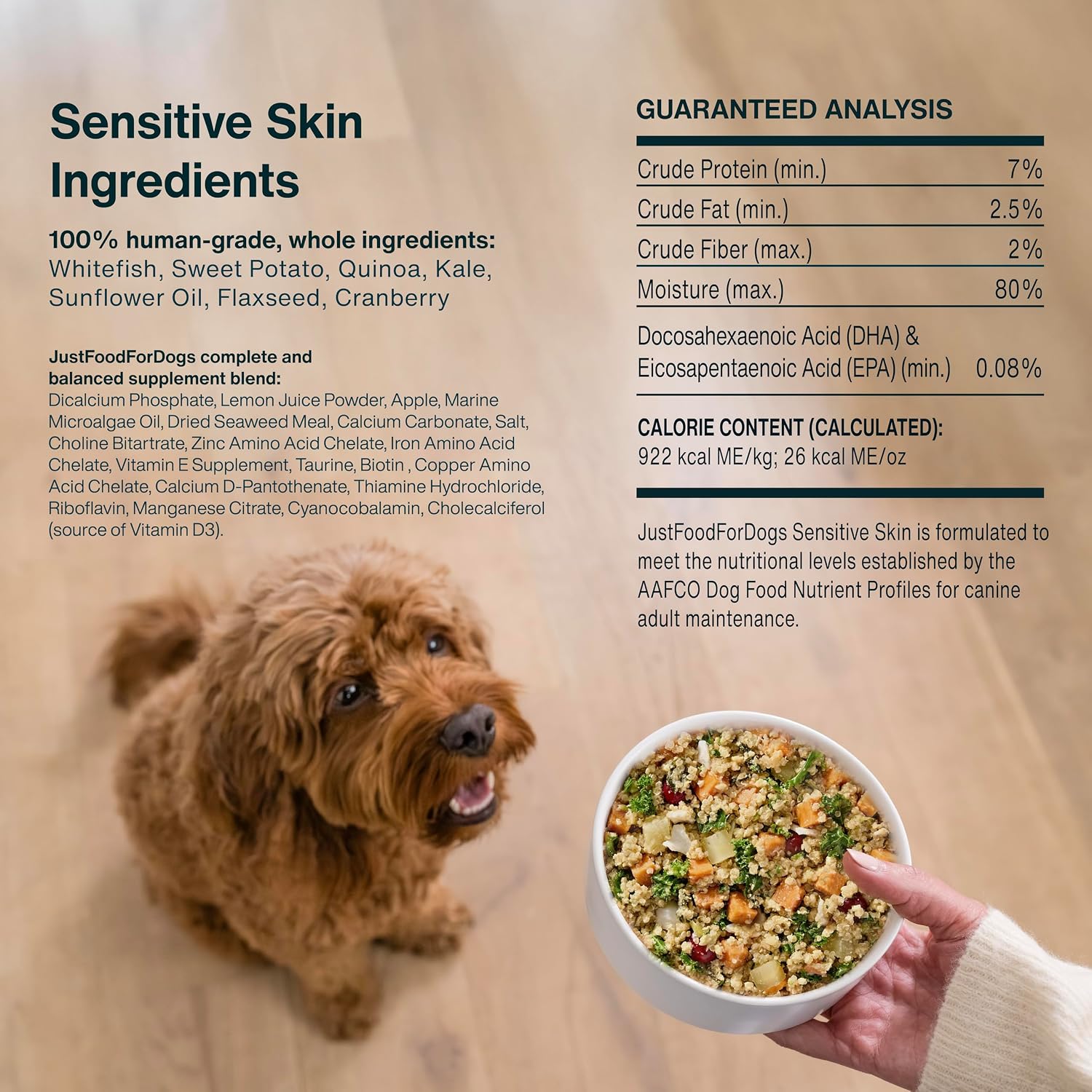 Top Picks For Premium Frozen Dog Food: Nutritious And Delicious Options ...