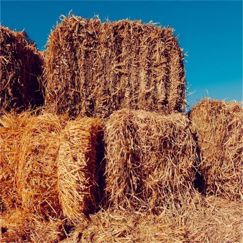 Buy AOFOTO 6x6ft Fall Scenery Hay Bales Backdrop Hayrick Farm Field ...