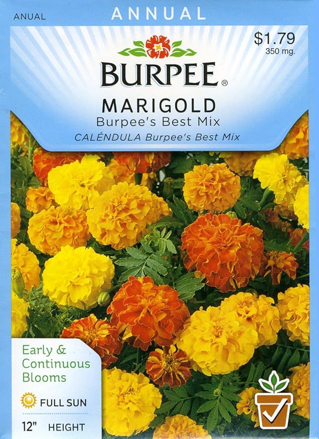 Amazon.com : Burpee Flower Marigold Burpee's Best Mix 350 mg. Packet ...