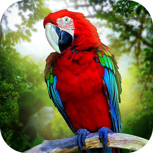 Parrot Simulator: Junngle Bird Survival:Amazon.com:Appstore for Android