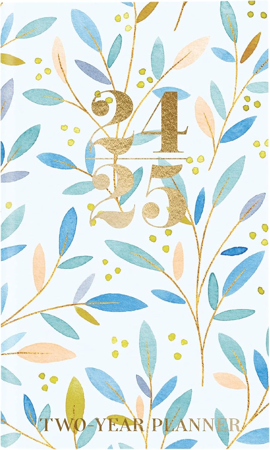 Amazon.com : Graphique 2 Year Pocket Planner | 29 Month Organizer, Aug ...