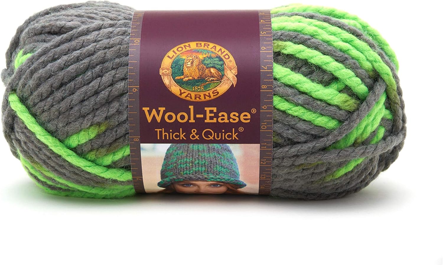 Amazon.com: Lion Brand Parakeet Wool Ease Thick & Quick Prints Yarn